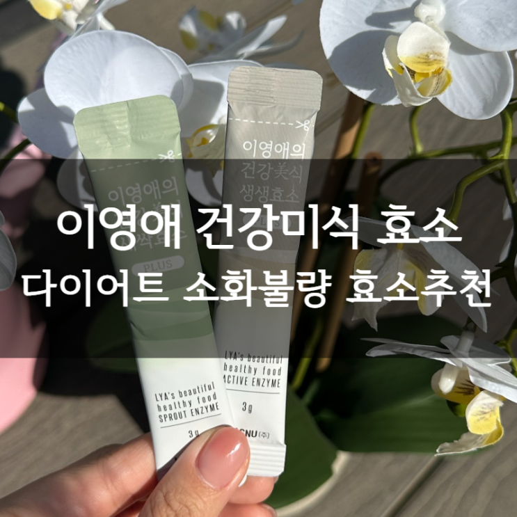이영애 소화효소 추천 ㅣ 더부룩함 소화불량에 알맞는 소화효소 건강미식 네이버 블로그