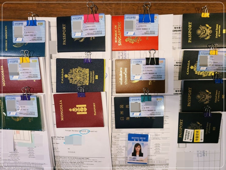 외국인 D10비자 취업(인턴 고용, 전문직 채용) 자격조건&신고방법 : 네이버 블로그