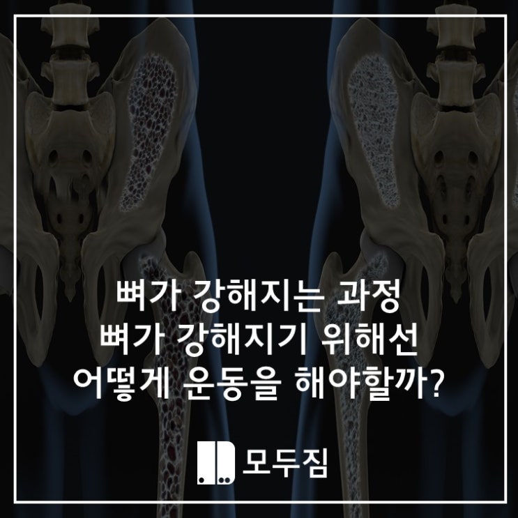 인천 도화동 헬스 인천 도화동 그룹pt 뼈가 강해지는 과정 뼈가 강해지기 위해선 어떻게 운동을 해야할까 네이버 블로그