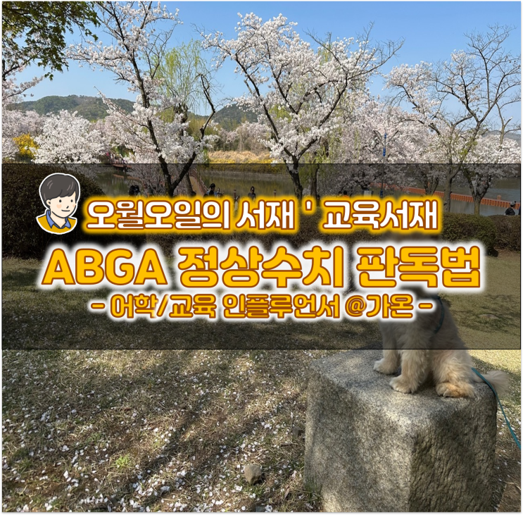 간호사 국가고시 공부법 검사 해석 ABGA 정상수치 판독법 : 네이버 블로그