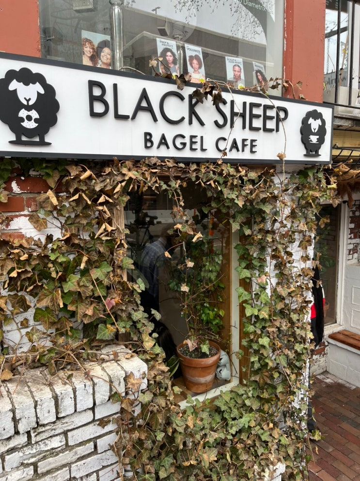 베이글 / Black sheep bagel cafe : 네이버 블로그