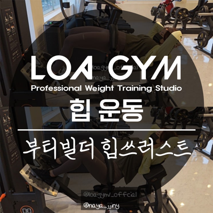 종암동pt 로아짐 박진영 Mtr 부티빌더 힙쓰러스트bootybuilder Hip Thrust 네이버 블로그