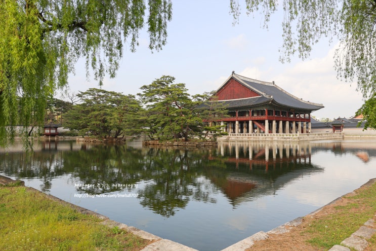 서울갈곳 경복궁 입장료 입장시간 향원정 경회루 네이버 블로그