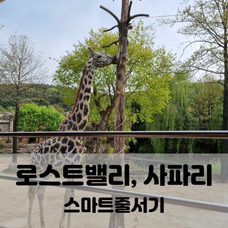 에버랜드 아이와 로스트밸리 사파리 스마트줄서기 이용팁 네이버 블로그