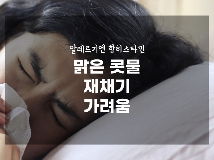 항히스타민제 종류 알레르기약 지르텍 1세대 2세대 3세대 네이버 블로그