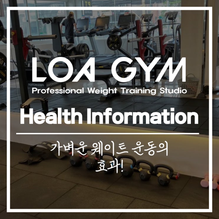 종암동헬스장 로아짐 꼭 무게를 늘려야 운동이 된다no 가벼운 중량의 웨이트의 효과 네이버 블로그