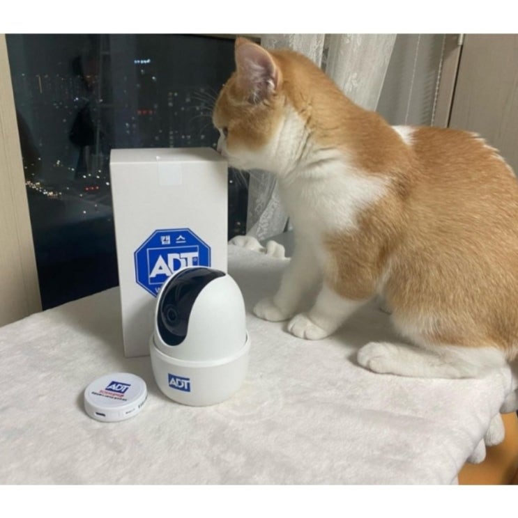 🪸 𝔸𝔻𝕋 캡스홈 이너가드 무료체험 🪸 (약정,비용X) 무료신청하기 펫캠, 홈캠추천, 홈cctv, 캡스cctv : 네이버 블로그