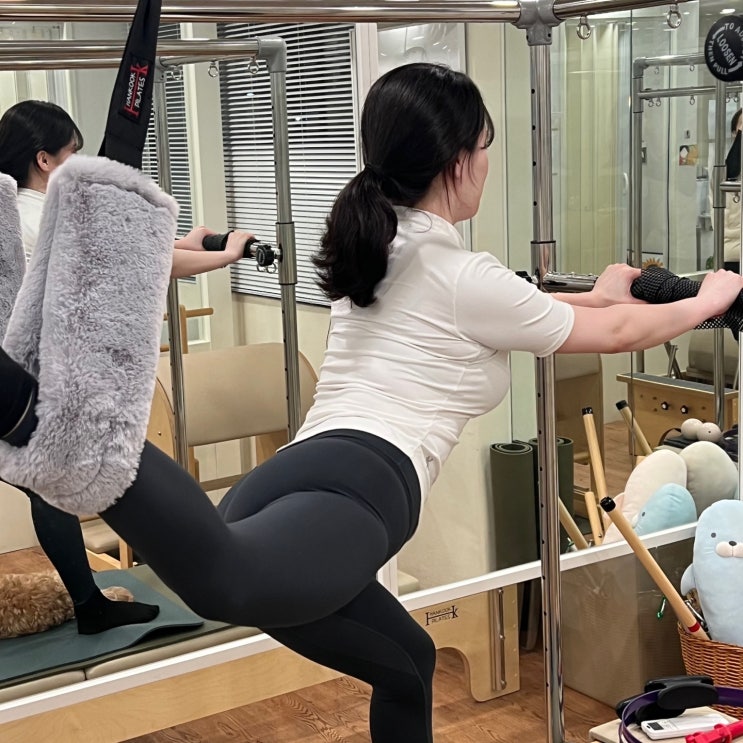 의정부시청필라테스가능동기구필라테스 의정부역필라테스의정부퓨어필라테스가능동헬스장 네이버 블로그