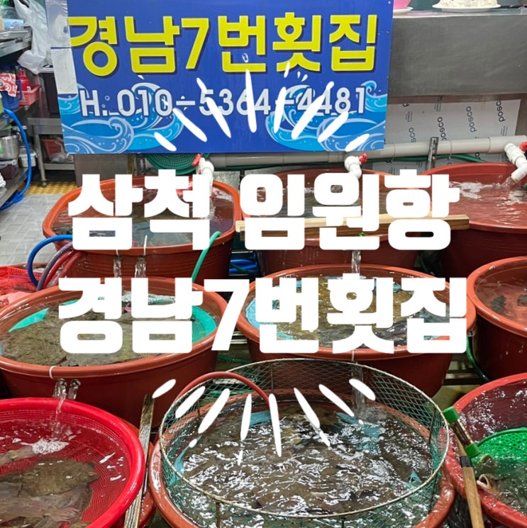 삼척 원덕읍 임원항 임원항회센터 경남7번횟집 네이버 블로그