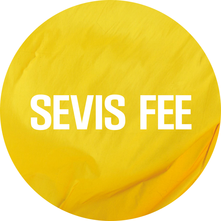 [비자] F1 비자 신청 | I-20 | SEVIS FEE : 네이버 블로그