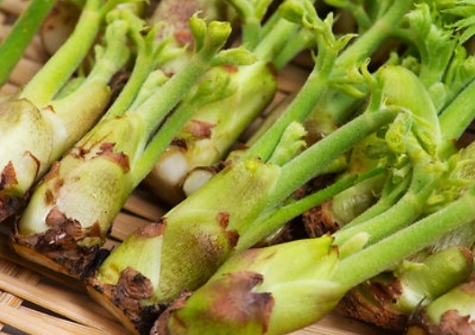 [더킹짐] 4월 제철음식 : 네이버 블로그