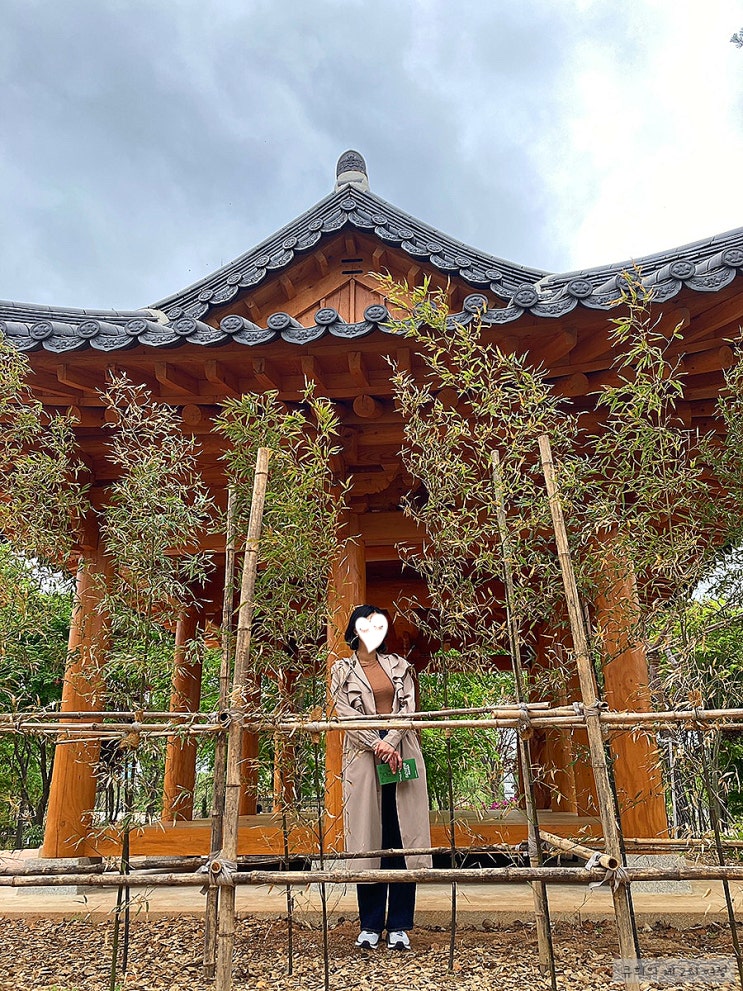 수원 일월수목원 식물원 저수지 4월 임시개장 무료 예약 입장료 주차장 카페 데이지원 정보 네이버 블로그