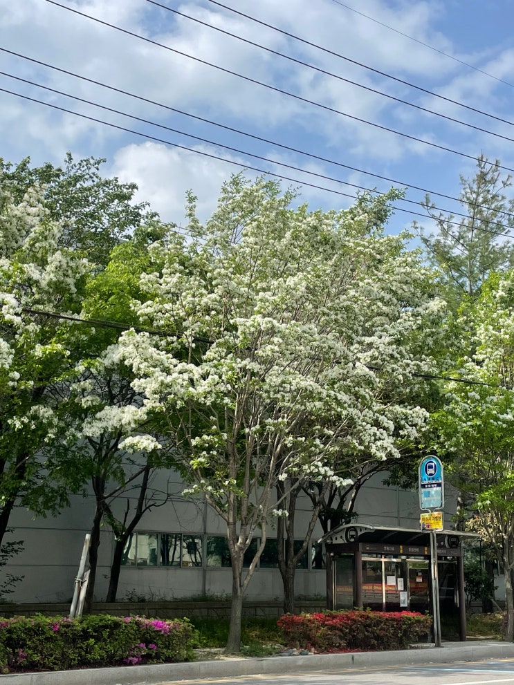 bye bye april ! 🍀 : 네이버 블로그