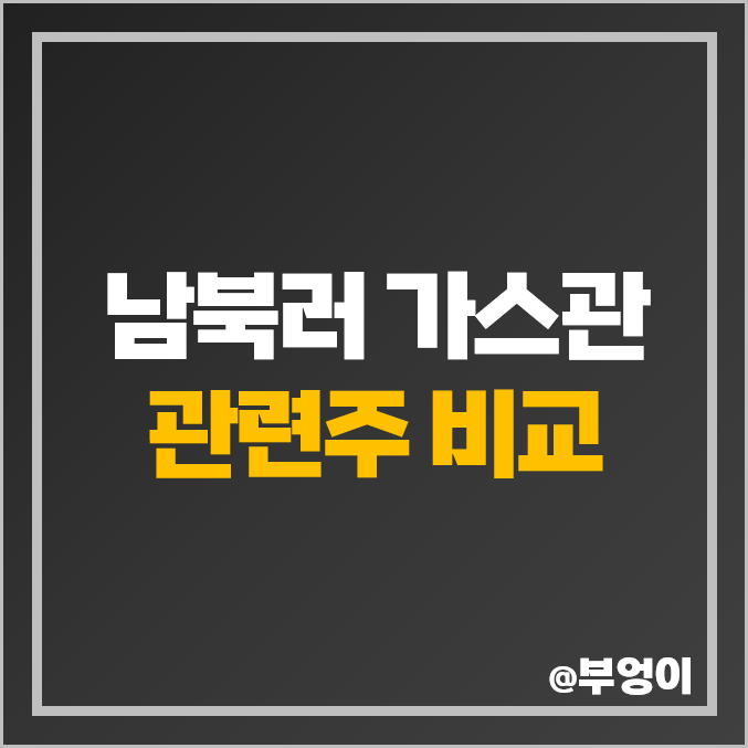남북러 가스관 사업 관련주 비교 : 디케이락 이엠코리아 세아제강 조광ILI 화성밸브 동양철관 삼현철강 엔케이 대동스틸 도양에스텍 ...