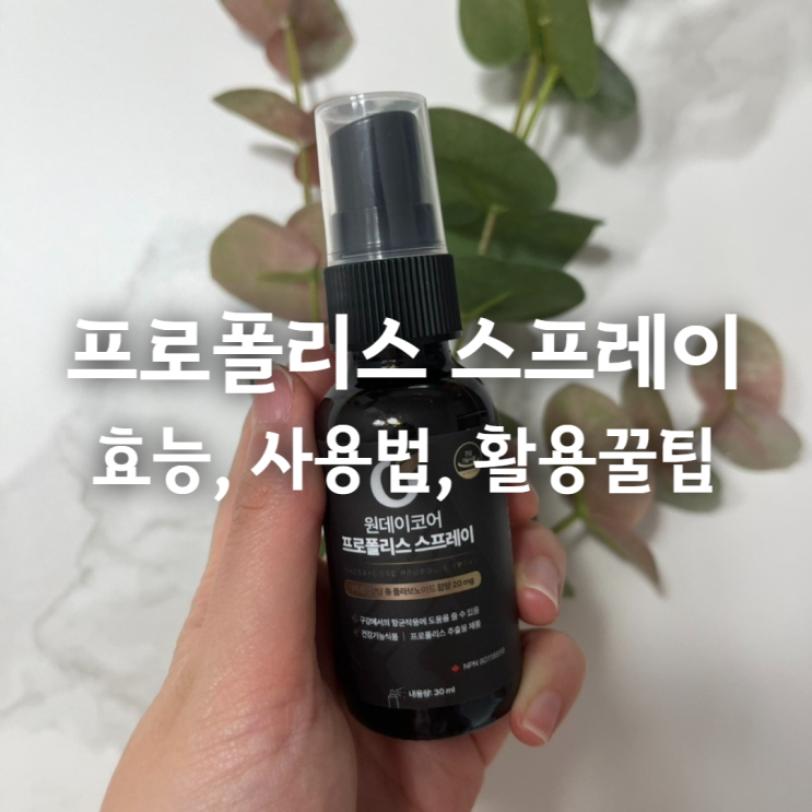 프로폴리스 스프레이 키위몬라이브 프로폴리스 효능 네이버 블로그