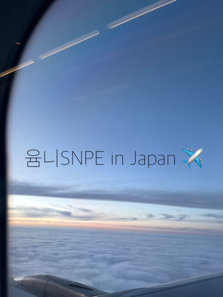 윰니SNPE 10일차 일상에 녹아든 SNPE 일본여행 마지막 이야기 : 네이버 블로그