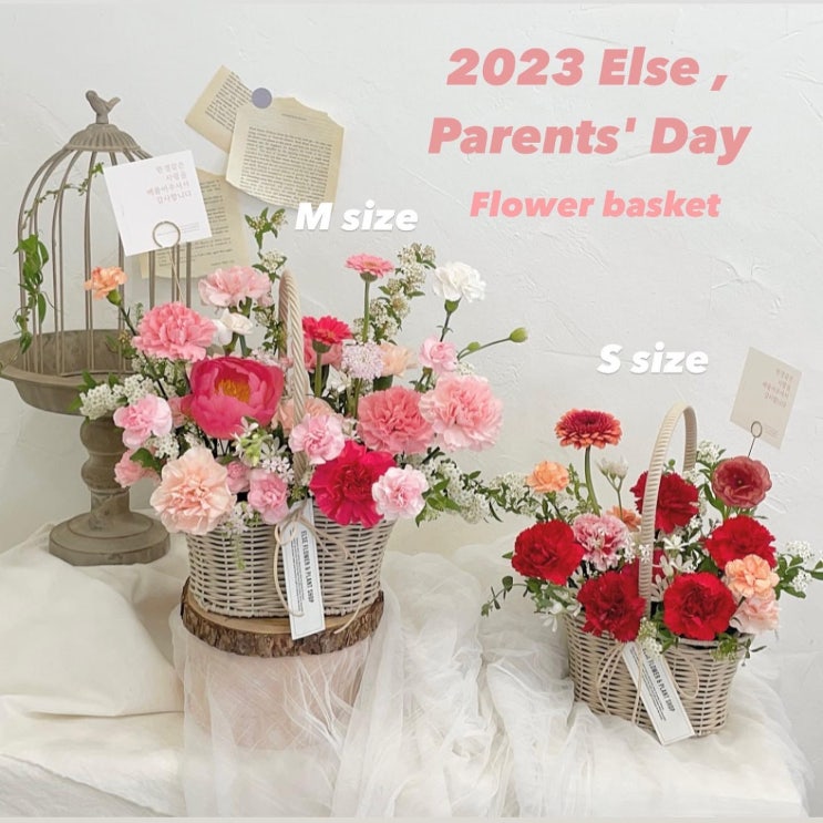 창원꽃집 도계동꽃집 유니시티꽃집 엘스 2023 엘스 어버이날상품 창원어버이날 창원어버이날꽃 창원어버이날카네이션 창원카네이션