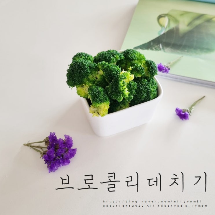 브로콜리 세척 브로콜리 찌기 데치기 시간 네이버 블로그