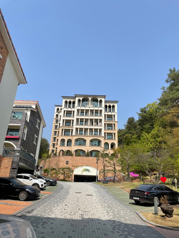 용인 더숨포레스트 호텔 후기 ㅣ에버랜드숙소추천 용인숙소추천 용인가성비숙소추천 에버랜드가성비숙소 내돈내산 2023