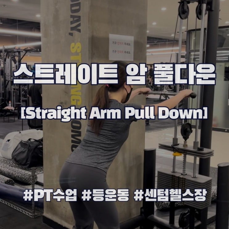 베스트피트니스 센텀점 광배근을 자극하는 스트레이트 암 풀다운 스탠딩 케이블 풀다운 센텀헬스장 센텀피티 네이버 블로그