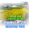 청보리 보러 고창으로 가즈아 하늘에서 본 고창 청보리밭 축제 네이버 블로그