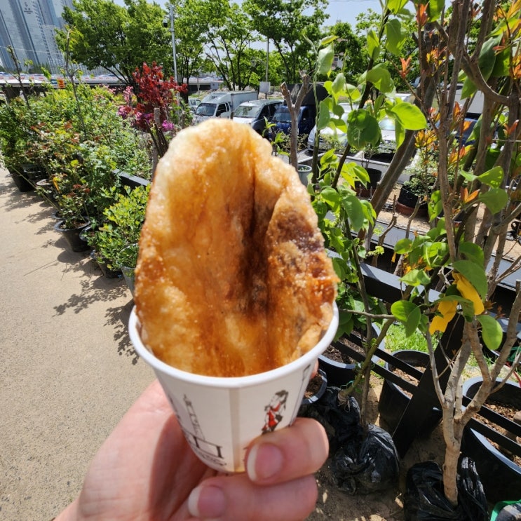 울산 전통시장 언양 오일장 언양 알프스시장 네이버 블로그