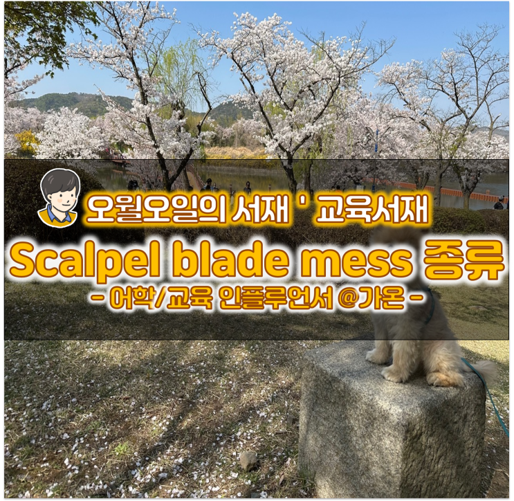 수술실 간호사 취업 공부법 Scalpel blade mess 종류 : 네이버 블로그