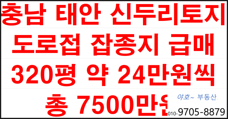 충남 태안 신두리 가까운 도로접 잡종지 320평 약24만원씩 총 7500만원 투자용 전원주택 별장용 농지원부 조합원용 부동산