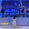 고양 스타필드 아쿠아카페 매직플로우 물고기카페 닥터피쉬체험 네이버 블로그