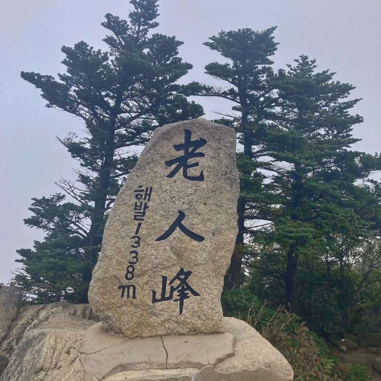 강원도 강릉 주문진 오대산 소금강계곡 노인봉 등산 진고개휴게소 노인봉 등린이도 쉽게 다녀올 수 있는 등산코스 네이버 블로그