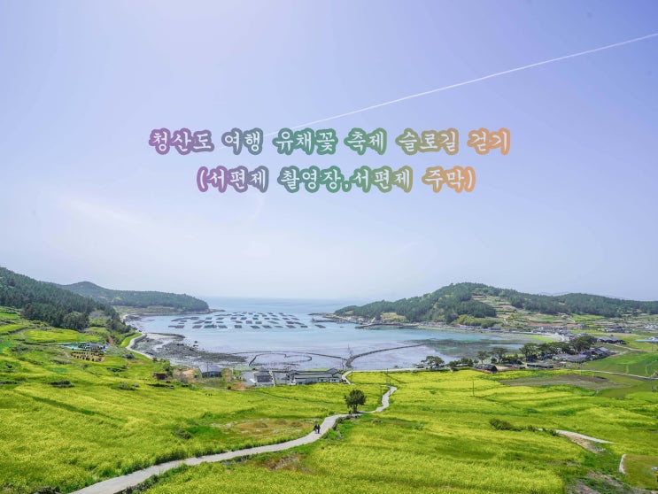 청산도 여행 유채꽃 축제 슬로걷기축제 서편제 촬영장 서편제 주막 네이버 블로그