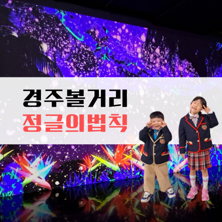 경주 미디어파크 정글의법칙 볼거리 많은 데이트코스 네이버 블로그
