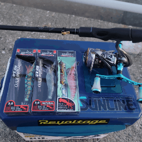 새로운 도전~ " 동해안 한치 에깅낚시 " 기록 molix rod & egi : 네이버 블로그