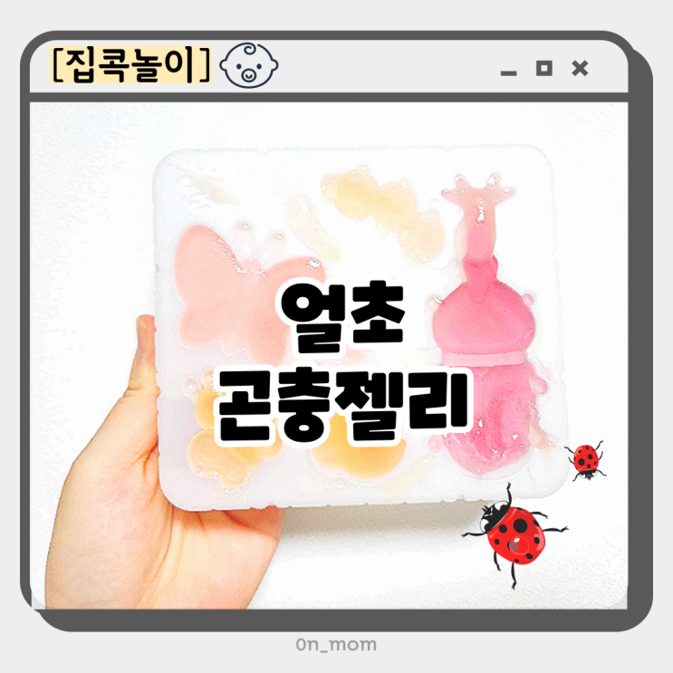 얼초 곤충젤리 만들기 아이간식 집콕놀이 젤리 어린이 만들기키트 네이버 블로그