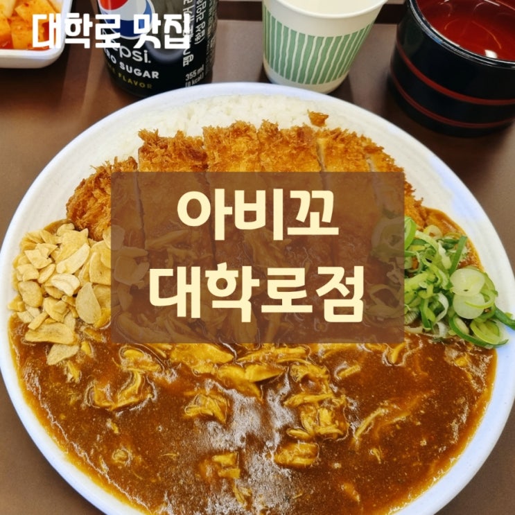 대학로 맛집 매운 단계별 카레 잘하는집 아비꼬 대학로점 네이버 블로그