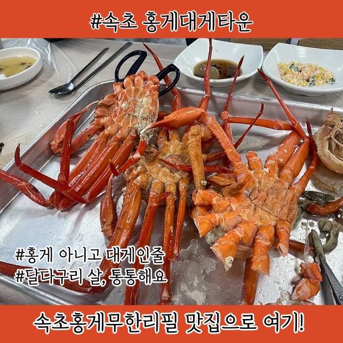 속초 홍게 무한리필 맛집 속초홍게대게타운에서 푸짐하게 먹어요 네이버 블로그