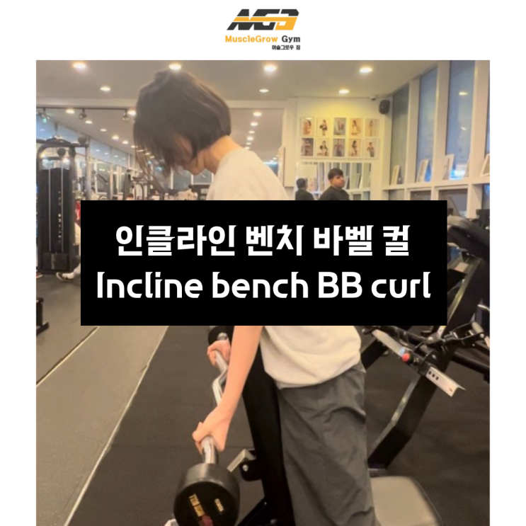 창원피티 창원헬스 이두운동 인클라인 벤치 바벨 컬 창원24시헬스장 머슬그로우짐 네이버 블로그
