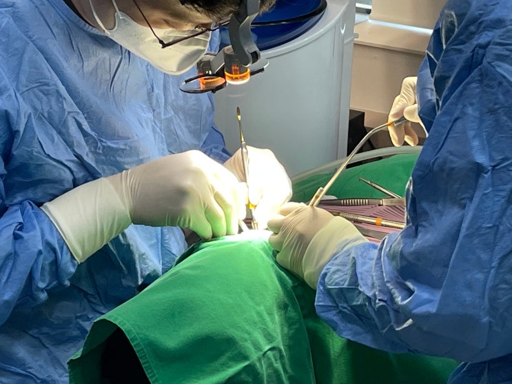 구미 수면치과 상악동거상술 임플란트 치료도 더 편안하게 네이버 블로그