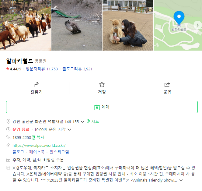 어린이날 가기 좋은 곳 알파카월드 아이들과 가기 좋은 곳 홍천놀러가기 좋은 곳 홍천여행 홍천글램핑