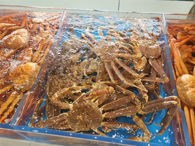 부산기장 대게 맛있는 기장 맛집 추천 대게만찬 네이버 블로그