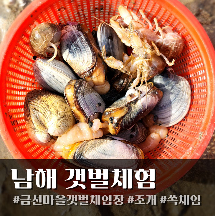 남해갯벌체험 아이랑 즐거운 체험학습 금천마을갯벌체험장 쏙 바지락 네이버 블로그
