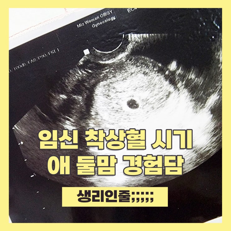 임신 착상혈 나오는 시기 양 색 갈색혈 통증 기간 생리차이 3주차 4주차 초기 증상 네이버 블로그