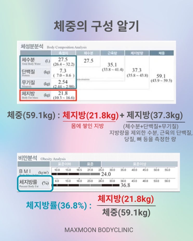 올바른 다이어트 인바디 분석법 근육량 체지방률 통한 뉴스킨 Tr90 챌린지 네이버 블로그