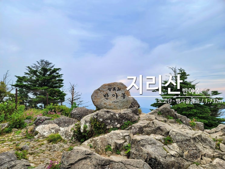 [100대명산] 지리산 반야봉-뱀사골계곡 등산코스, 최단코스 정보, 성삼재-노고단(예약)-반야봉-삼도봉-뱀사골계곡-와운마을 ...