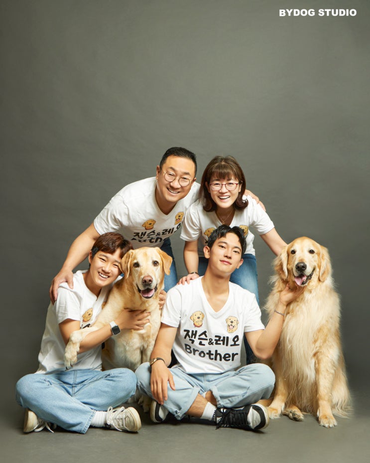 골든 리트리버래브라도 리트리버 대형견 가족사진 And 강아지가족사진 바이독 강아지사진관강아지랑화보골든리트리버 촬영