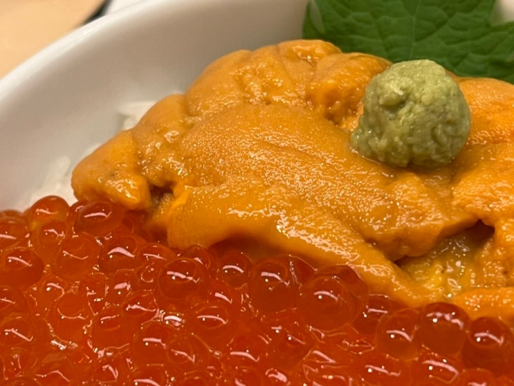 삿포로 역 카이센동 맛집 추천 우니 무라카미 우니동 할인 팁 네이버 블로그