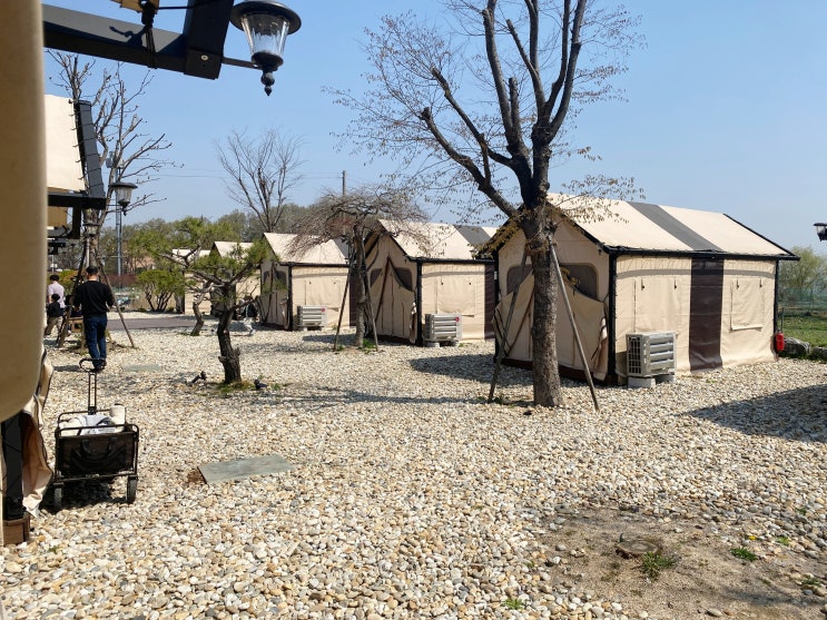 애견동반 캠핑초보 당일캠핑김포 강변글램핑 네이버 블로그