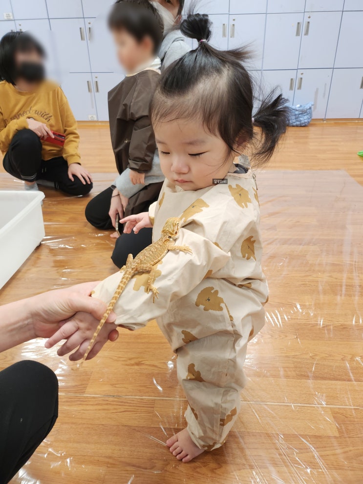 이마트 문화센터 홀리아트 퍼포먼스 수강후기 은평이마트문화센터 네이버 블로그