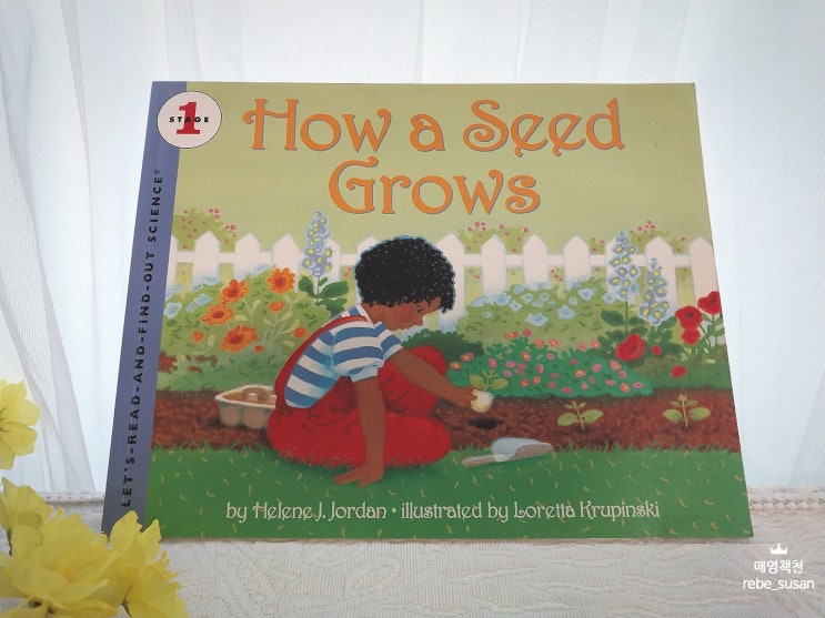 식목일이 있는 4월에 읽어 주면 좋은 책 How a Seed Grows : 네이버 블로그