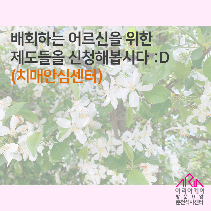 배회하는 어르신을 위한 제도들을 신청해봅시다 D치매안심센터 춘천 재가센터 방문요양 네이버 블로그